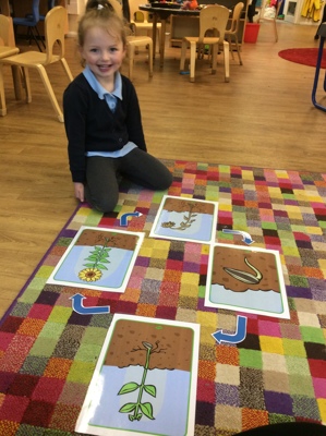 Planting Seeds… - Crook Primary School
