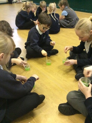 Science Boffins - Crook Primary School