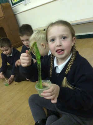 Science Boffins - Crook Primary School