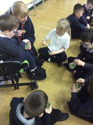 Science Boffins - Crook Primary School